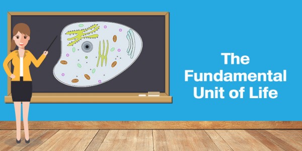 NCERT Solutions for Class 9 Science - Fundamental Unit of Life ...