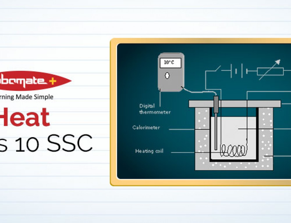 Trigonometry Formulas for Class 10 - Robomate Plus