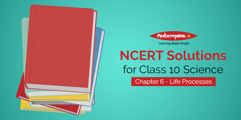 NCERT Solutions for Class 10 Science Chapter 6 - Life Processes ...